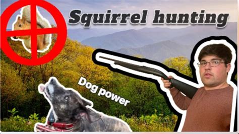 Squirrel Hunting 22lr Vs 12gauge Youtube
