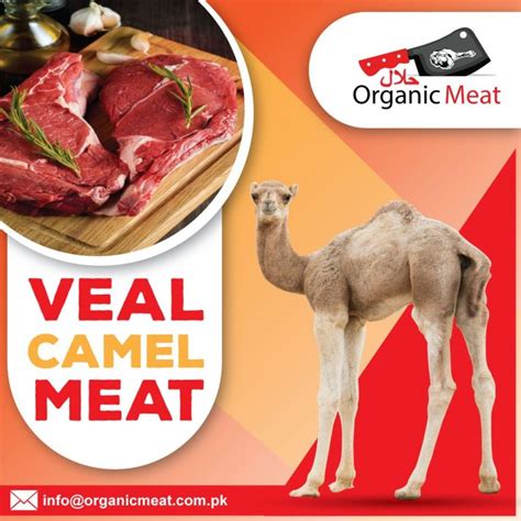 Camel Meat Halal Organic Meat