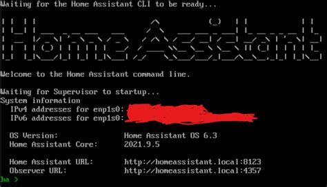 Home Assistant Vm Install Not Able To Connect To It Runraid
