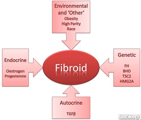 Possible Causes Risk Factors Uterine Fibroid