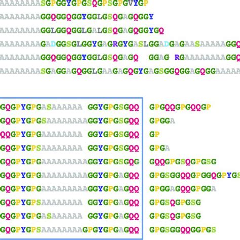 Conservation Of Tandem Repeat Motif Arrangements Within Araneidae A