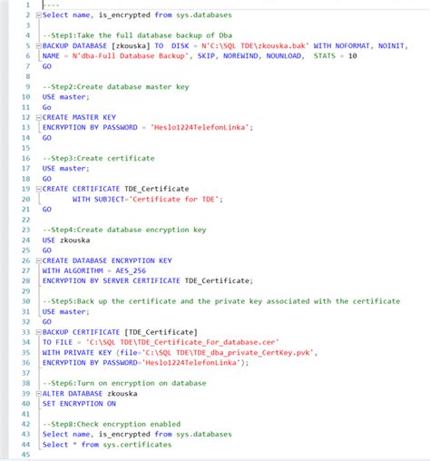 Encryption Mssql Database Rsql