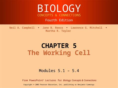 Ppt 051 Working Cell Dokumentips