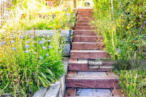 꽃 파란색 식물 장식 조경 콜로라도에있는 집의 정원 뒤뜰의 아무도 건축과 여름 날에 가파른 나무 계단을 따라 계단식 가파른에 대한 스톡 사진 및 기타 이미지 Istock
