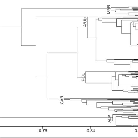 dendrogram made on the basis of cluster analysis upgma method of