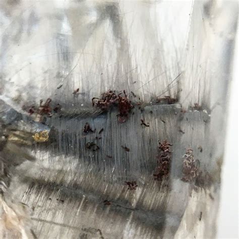 Stunning Rutile Inclusions In Glassy Quartz Crystal From Brazil
