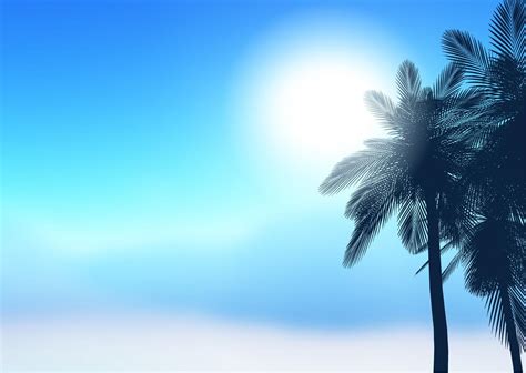Summer Palm Trees Background Vector Art At Vecteezy