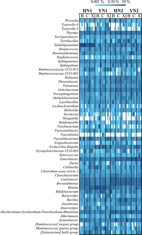 Heatmap Of Bacterial Communities In Tls Originating From Different