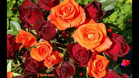 С ДНЕМ РОЖДЕНИЯ МУЗЫКАЛЬНАЯ ОТКРЫТКА ПОЗДРАВЛЕНИЕ Youtube