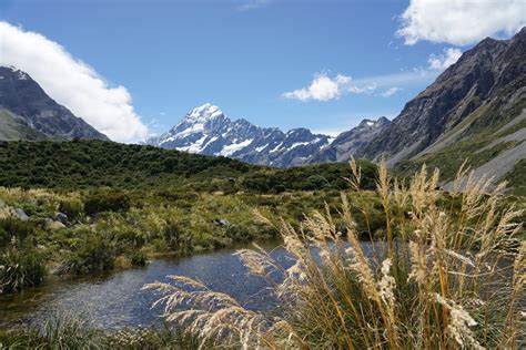 ニュージーランド テカポ湖とマウント・クックでのハイキング
