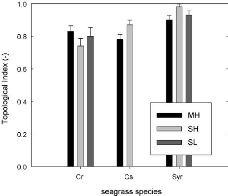 The Topological Index For The Species With Branched Roots Only Download Scientific Diagram