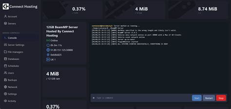 Beammp Server Hosting Connect Hosting
