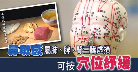 最強生命線大夫斷症鼻敏感屬肺脾腎三臟虛損 可按穴位紓緩 無綫新聞TVB News