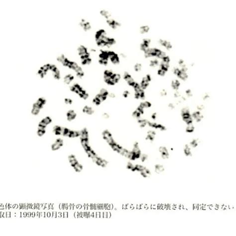 Chromosome Self Delete Chromosome Suicide Pulse Demon