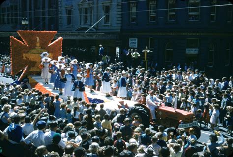 Alfred Hospital Float City Collection