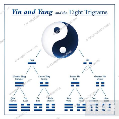 Yin Yang Combinations For Development And Composition Of The Eight