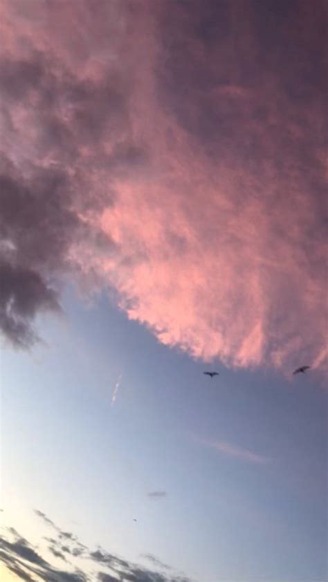 Planes Flying In The Pink Sky