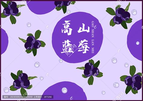 蓝莓包装设计模板下载 包装设计素材下的礼盒包装设计模板 汇图网