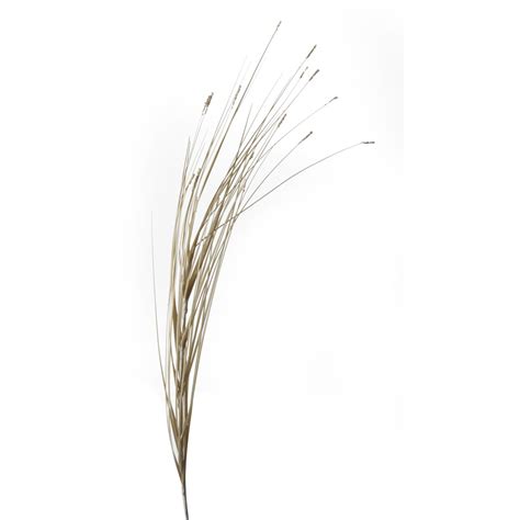 Wilko Natural Multi Stem Artificial Dried Grass Wilko