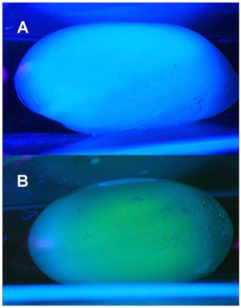 Figure 3 From A Class I Uv Blocking Senofilcon A Soft Contact Lens