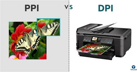 Ppi Vs Dpi Whats The Difference