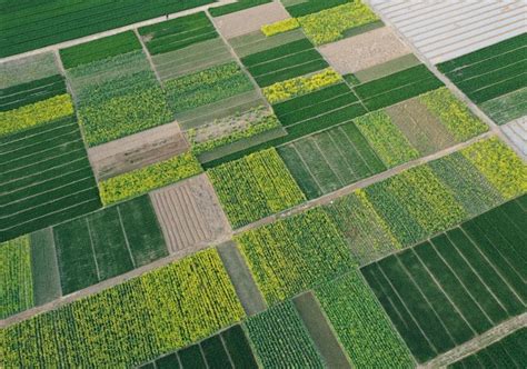 河南温县：春暖花开，美丽乡村入画来 湃客澎湃新闻 The Paper 花瓣网