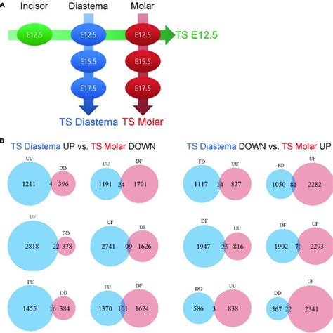 Rna Seq Data Alignment And Clustering A Alignment Results Of 21 Download Scientific