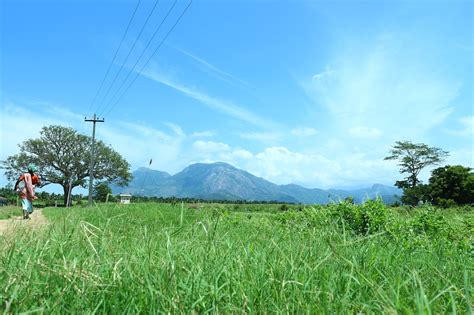 Naturaleza Hermoso Al Aire Libre Foto Gratis En Pixabay