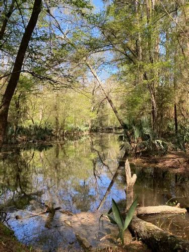 10 Best Hikes And Trails In Sam Houston National Forest Alltrails