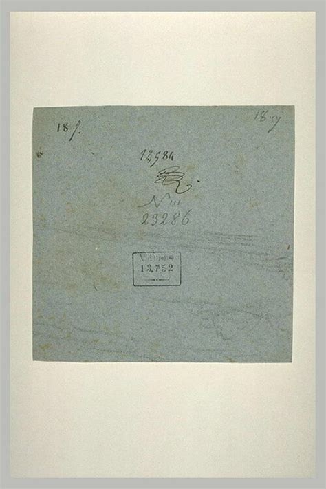 Tronc D Arbre Louvre Collections
