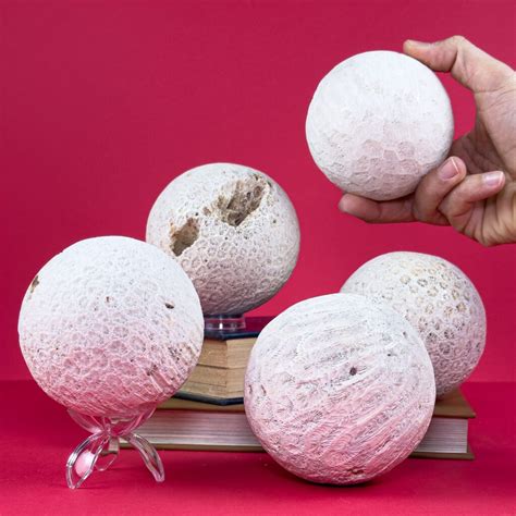Fossil Coral Sphere From Madagascar Ø 10 Cm Latiaxis