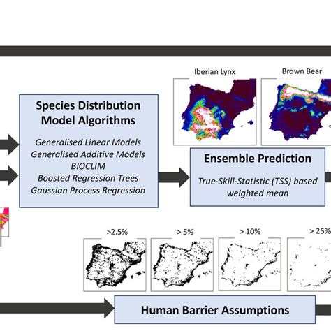 Methodological Workflow Applied To Integrate Species Distribution