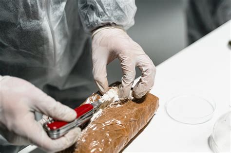 Quais São Os Efeitos Da Cocaína E Como Amenizar Entenda