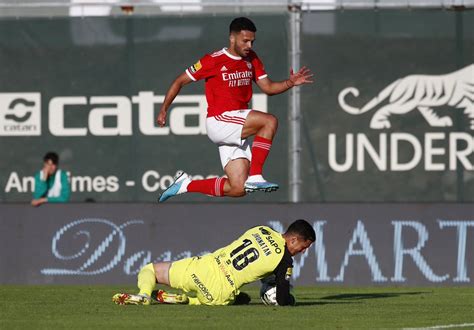 Benfica Stuff On Twitter Gon Alo Ramos Slblive