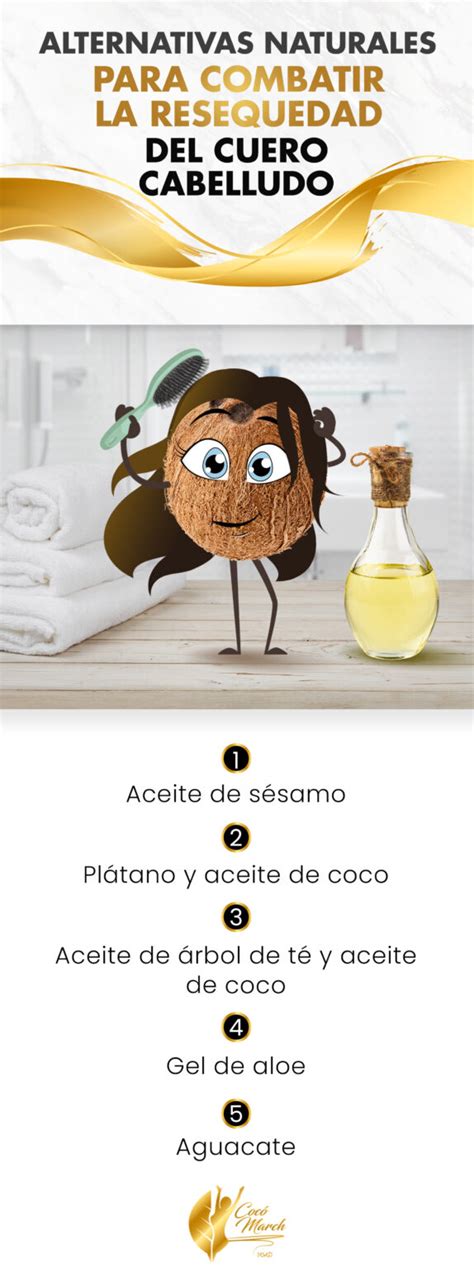 Remedios Caseros Para La Resequedad Del Cuero Cabelludo Coco March