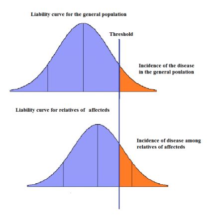 LECTURE Multifactorial Disease Flashcards Quizlet