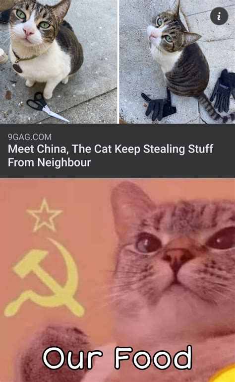 Communist Cat Meme