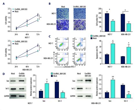 Circrna 0001283 Represses Cell Growth And Migration And Enhances
