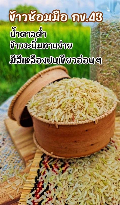 ข้าวน้ำนม สามสี ไรซ์เบอรี่ แดง เหนียวดำลืมผัว Line Shopping