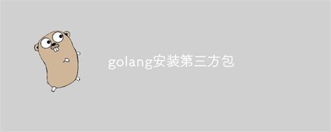 How To Install Third Party Packages In Golang Golang Php Cn