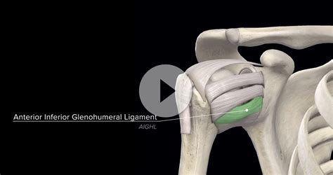 Shoulder Instability — Jonathan Koscso Md