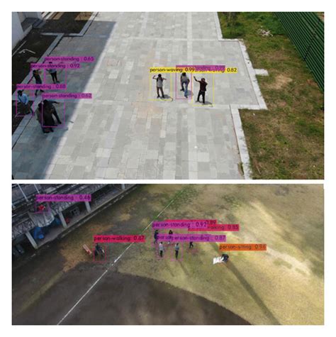 showing action detection with confidence score download scientific