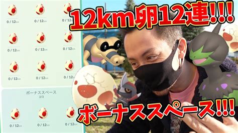 12km卵一気に12連で色違いの ！？！？新機能のテスト感想！【ポケモンgo】 Youtube