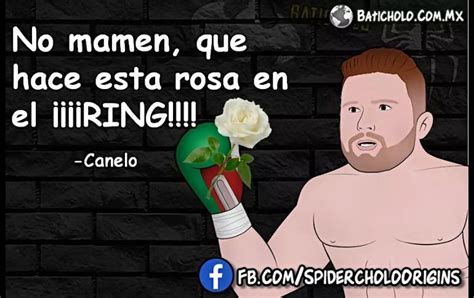 Los Memes Del Triunfo De Canelo Vs Ggg El Informador