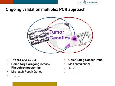 Ppt Comprehensive Screening Of Brca1 2 Genes Powerpoint Presentation Id 1809983