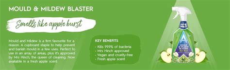 Astonish Mould Mildew Remover Apple Burst Clear 750 Ml Amazon Co