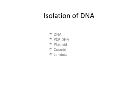 PPT DNA Isolation And Plasmid Analysis For Disease Study PowerPoint Presentation ID
