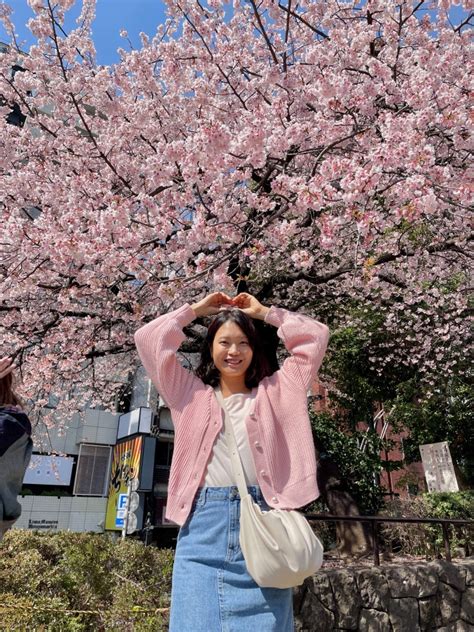 도쿄 여행 3일차 우에노공원 벚꽃 우에노 스카이라이너 나리타공항 3터미널 라운지 대신 음식점 제주항공 네이버 블로그