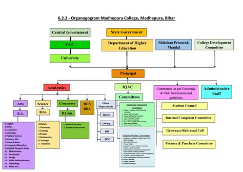 Organizational Structure Madhepura College Madhepura