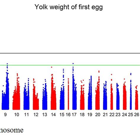 manhattan plot left and quantile quantile plot right of the